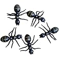 Amazon.com: Sujosa 30pcs Fake Big Ants GiantAnts Ant Queen Plastic Fake ...