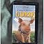 Amazon.com: Gordy [VHS]: Kristy Young, Doug Stone, James Donadio ...