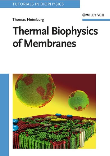 Amazon.com: Thermal Biophysics of Membranes: 9783527404711: Heimburg ...