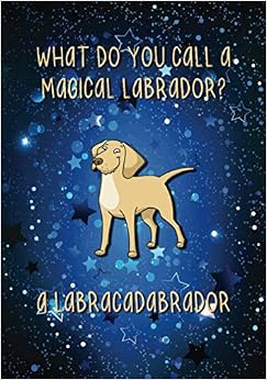 Labracadabrador: A Funny Labrador Notebook For Dog Lovers : Ball, Floof ...