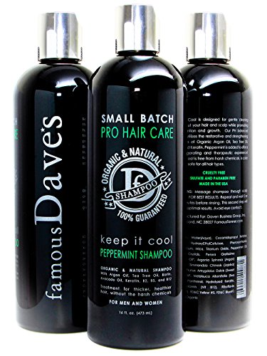 Dave’s Premium Organic Hair Argan Shampoo Loss and