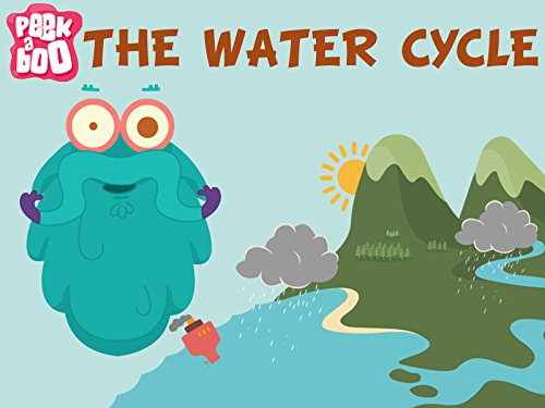 Printables All About the Water Cycle