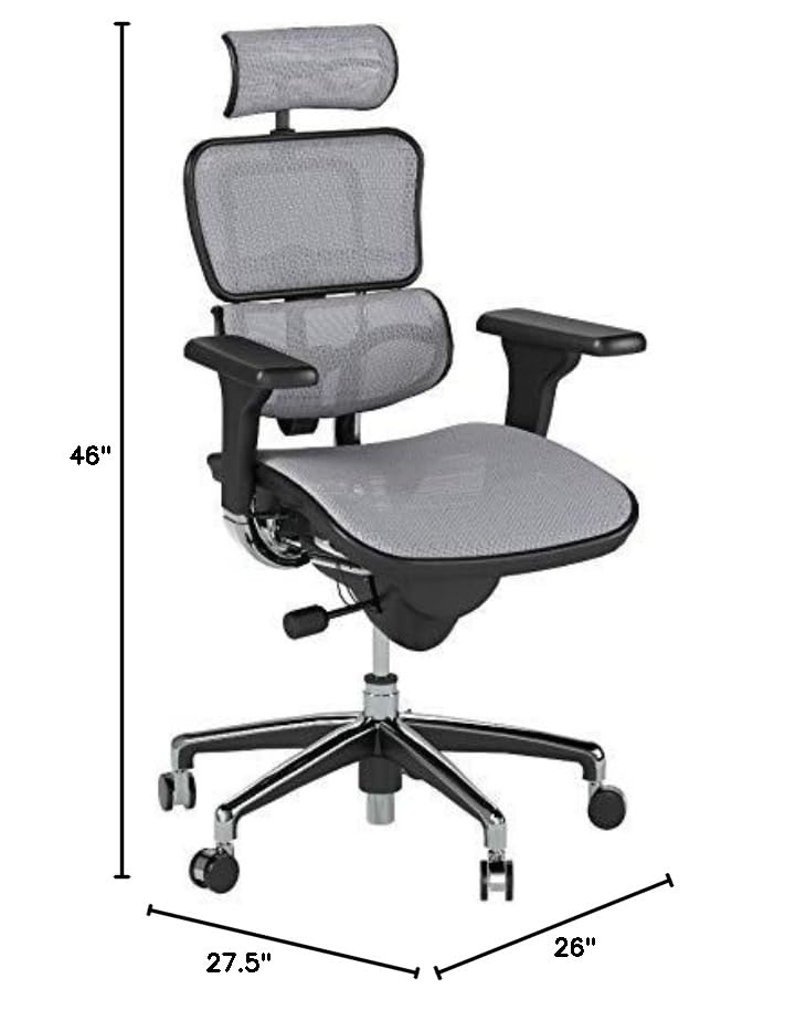 Ergohuman Eurotech GEN2 High Back, Mesh Executive Office Chair With Adjustable Lumbar Support ...