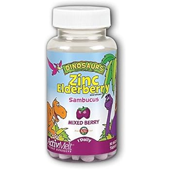 Amazon.com: Kal 5 Mg Berry Zinc Elderberry Tablets, 90 Count: Health ...