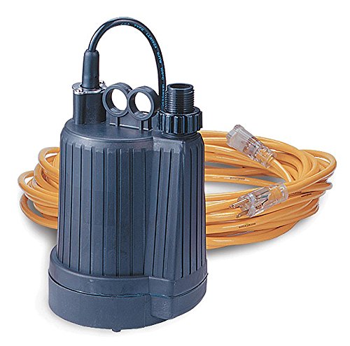 Water Pump, Electric, 110 V: Portable Power Water Pumps: Amazon.com ...