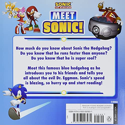Meet Sonic A Sonic The Hedgehog Storybook Pricepulse