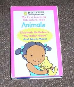 Amazon.com : Brighter Vision Learning Adventure - My First Learning ...