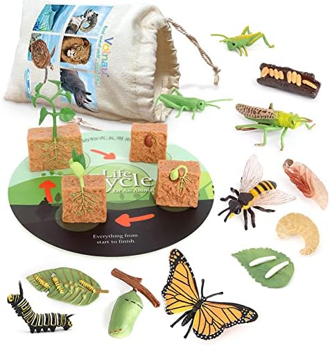 Volnau Animal Figurines Toys 16PCS Life Cycle Set Plant Locust ...