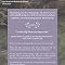 Beneath the Rainbow: Amazon.co.uk: Lisa Shambrook, Blue Harvest ...