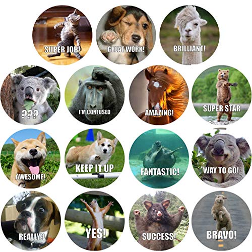 300 Pack Reward Stickers for Teachers. Fun Motivational & Incentive ...