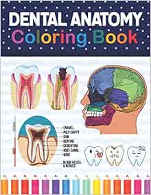 Dental Anatomy Coloring Book: Learn the Basics of Dental Anatomy ...