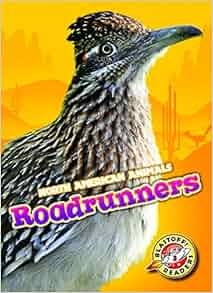 Roadrunners (North American Animals: Blastoff! Readers, Level 3 ...
