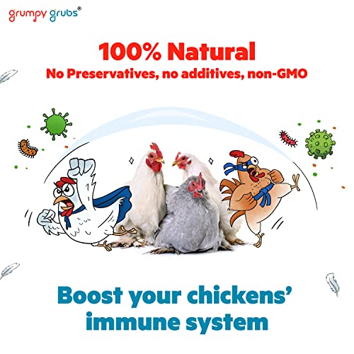 Grumpy Grubs Premium (5lbs) Dried Black Soldier Fly Larvae - Grubs For ...