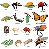 TOYMANY 16PCS Insect Figurines Life Cycle of Monarch Butterfly,Honey ...