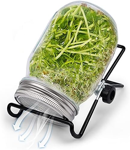 MORDEN MS Seed Sprouting Jar Broccoli Sprouts Growing Kit with Screen ...