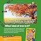 Ultimate Explorer Field Guide: Trees (National Geographic Kids Ultimate ...
