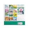 2024 Bible Verses Wall Calendar - Featuring Scripture from the King ...