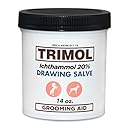 Amazon.com: Ichthammol 20% Ointment (14 oz) (Drawing Salve): Pet Supplies