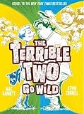 The Terrible Two: Mac Barnett, Jory John, Kevin Cornell: 9781419714917 ...