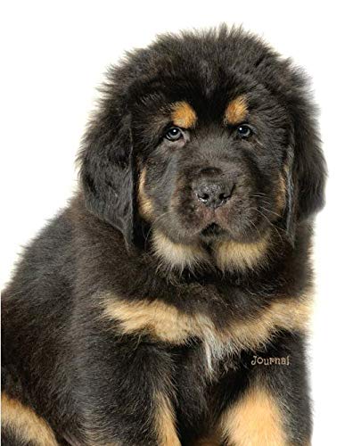 Journal: Adorable Tibetan Mastiff Puppy: Publications, Dreamflight ...