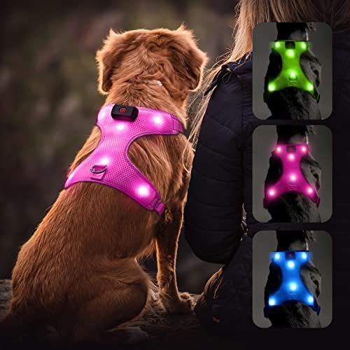 Flashseen LED Dog Harness, Lighted Up USB Rechargeable Pet Harness ...