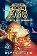 The Secret Zoo: Riddles and Danger: Chick, Bryan: 9780061989278: Amazon ...