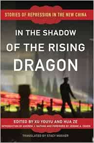 In the Shadow of the Rising Dragon: Stories of Repression in the New ...
