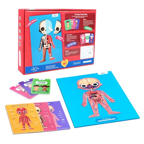 Human Body Puzzles For Kids
