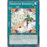 Amazon.com: Yu-Gi-Oh! - Trickstar Mandrake - MP19-EN005 - Common - 1st Edition - 2019 Gold ...