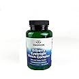 Amazon.com: Swanson Bilberry Eyebright Vision Complex 100 Caps : Health ...