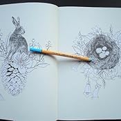 Birdtopia: Colouring Book (Colouring Books): Amazon.co.uk: Fletcher ...