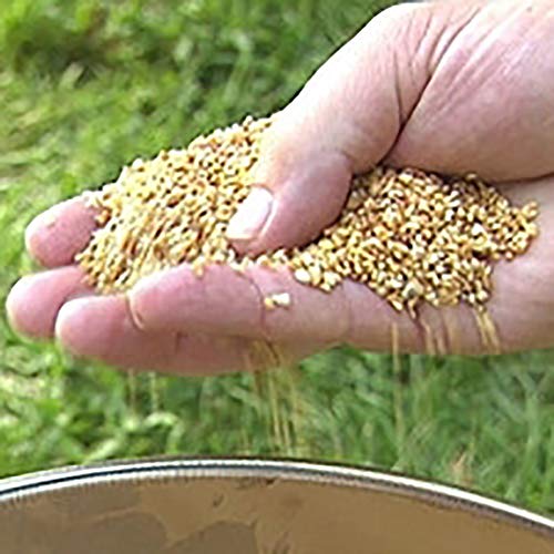 Chase Mole, Vole And Gopher Repellent Granules, 6 Lb, Castor Oil ...