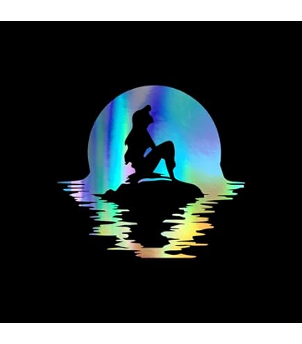 Silueta De Ariel En Roca