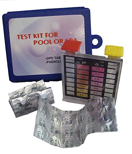 2 Way Swimming Pool Test Tablet Kit With Case Tests | Desertcart INDIA