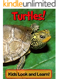Turtle Care: How to Care for Pet Turtles Like an Expert. (Aquarium and ...