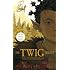 Edge Chronicles - The Twig Trilogy:Beyond the Deepwoods,Stormchaser ...