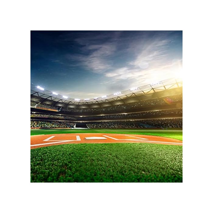 Buy AOFOTO 10x10ft Baseball Ballpark Backdrop Sports Stadium Grass ...