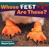 Whose Teeth Are These? (Whose? Animal Series): Lynch, Wayne ...