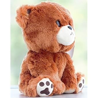 Buddy Plush Buddy The Curious Teddy Bear Plush Stuffed Animal - Cute ...