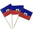 Amazon.com | 100 Pcs Haiti Flag Haitian Toothpick Flags, Small Mini ...