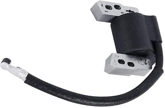 Ignition Coil for Briggs & Stratton 695711 802574 493237 796964 492416 ...