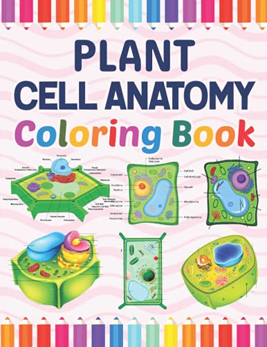 Plant Cell Anatomy Coloring Book: Plant Cell Anatomy Coloring Workbook ...