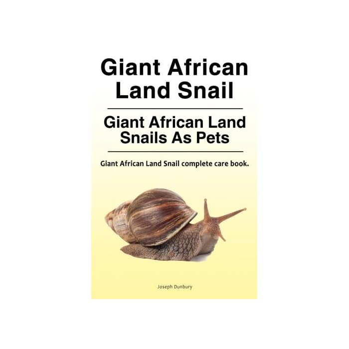 Buy Giant African Land Snail. Giant African Land Snails as pets. Giant ...