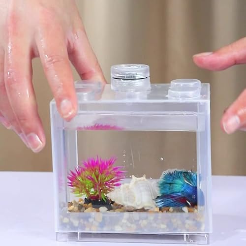 Small Plastic Fish Tank