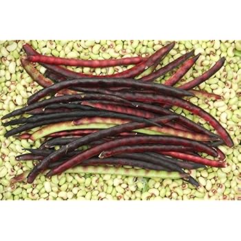 Amazon.com : Coronet Pinkeye Purple Hull Southern Cowpea Seeds - 25 gms ...