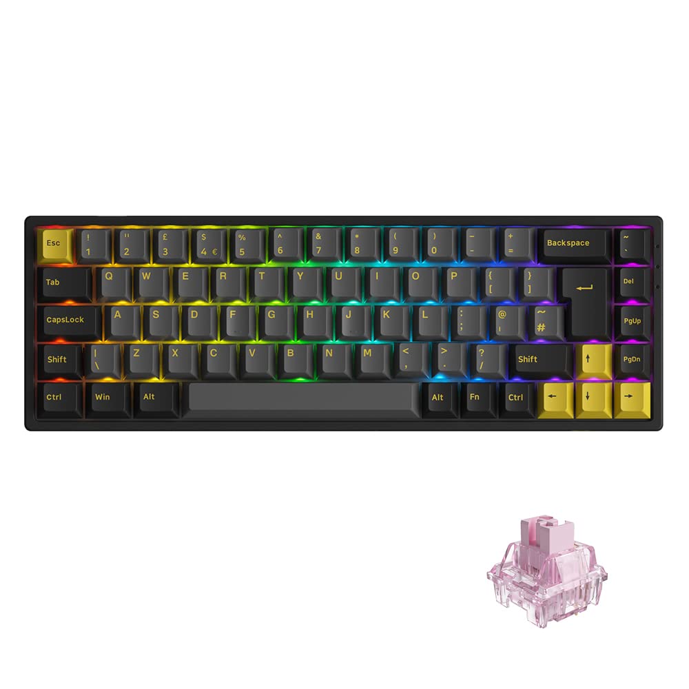 Mua Akko 3068B Plus RGB Mechanical Gaming Keyboard, Multi Modes (BT5.0/ ...