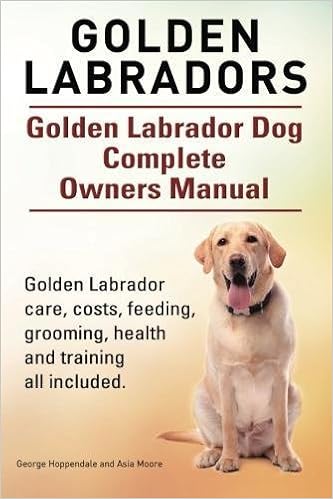 ラブゴールデン - 犬種の本