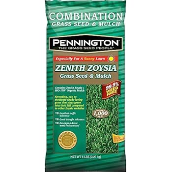 Amazon.com : Compadre Zoysia Grass Seed "100% Pure Seeds Signature ...