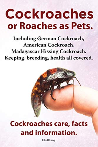 Cockroaches as Pets. Cockroaches Care, Facts and Information. Including ...