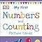 My First Numbers & Counting: 9780241316535: Amazon.com: Books